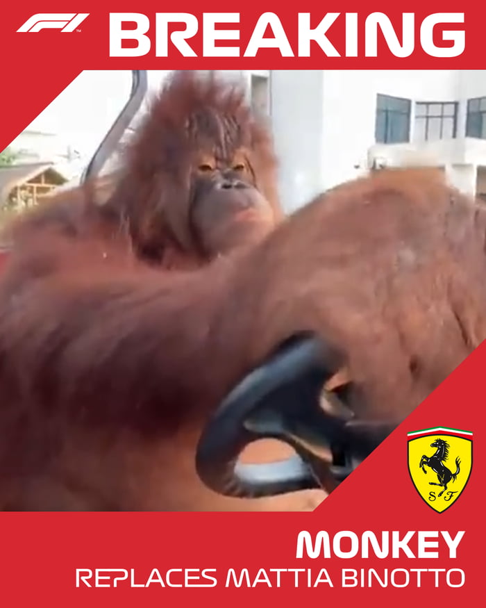 The monkey is the key. - 9GAG