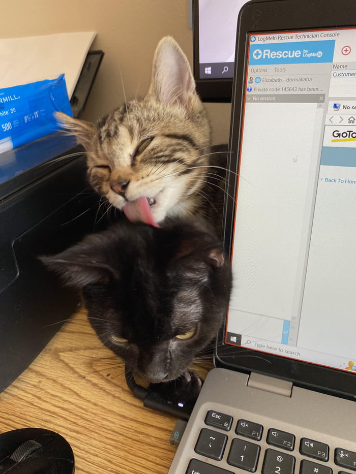 Y’all ready for some more Lionel? Also, introducing his brother Jasper ...