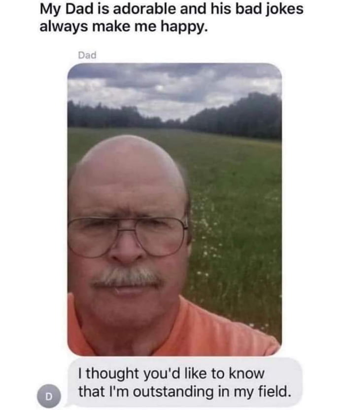 Bonus Dad Joke In Comments 9gag