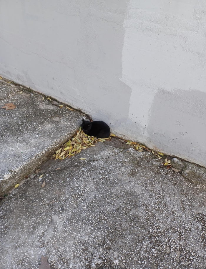 Smol void detected - 9GAG