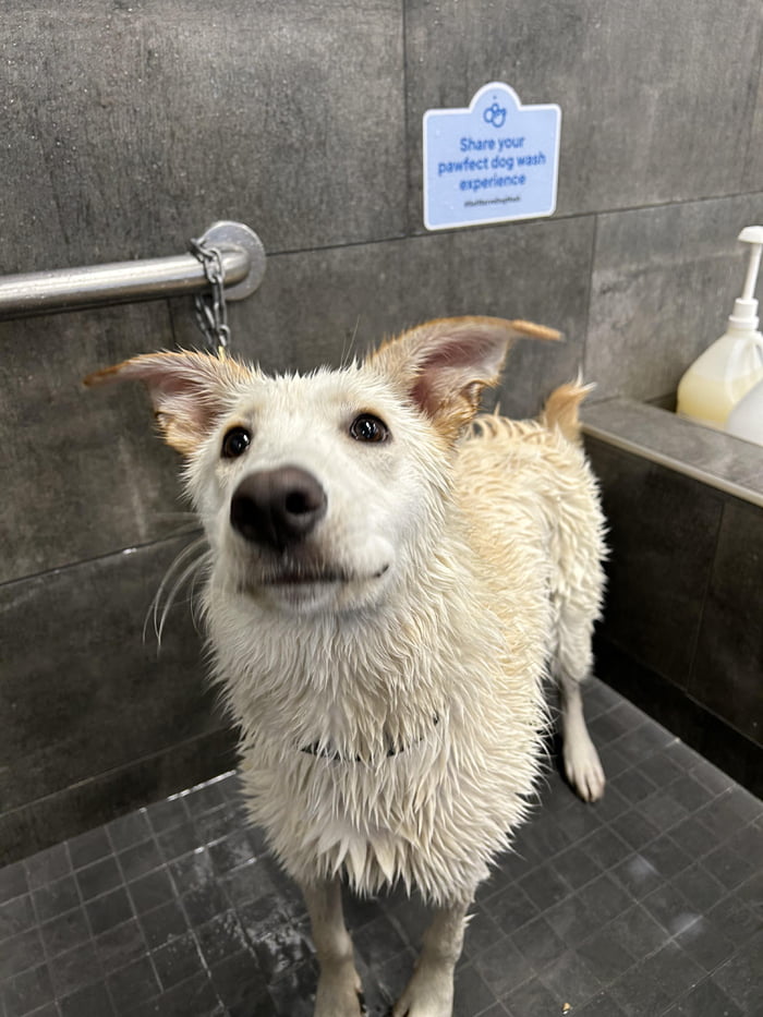 Squeaky-clean Ellie hopes you have a great day. - 9GAG