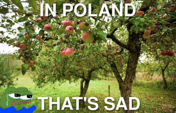 Sad Poland - 9GAG