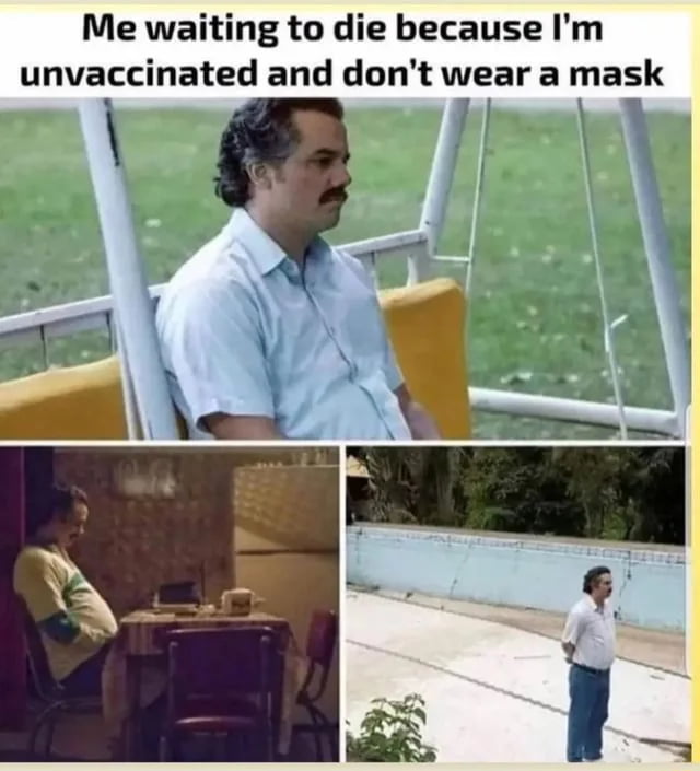 Year 3 of 2 weeks to flatten the curve. - 9GAG