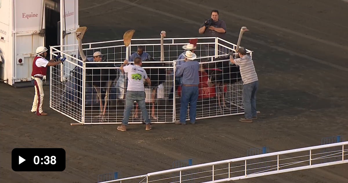 Das good shit - 9GAG