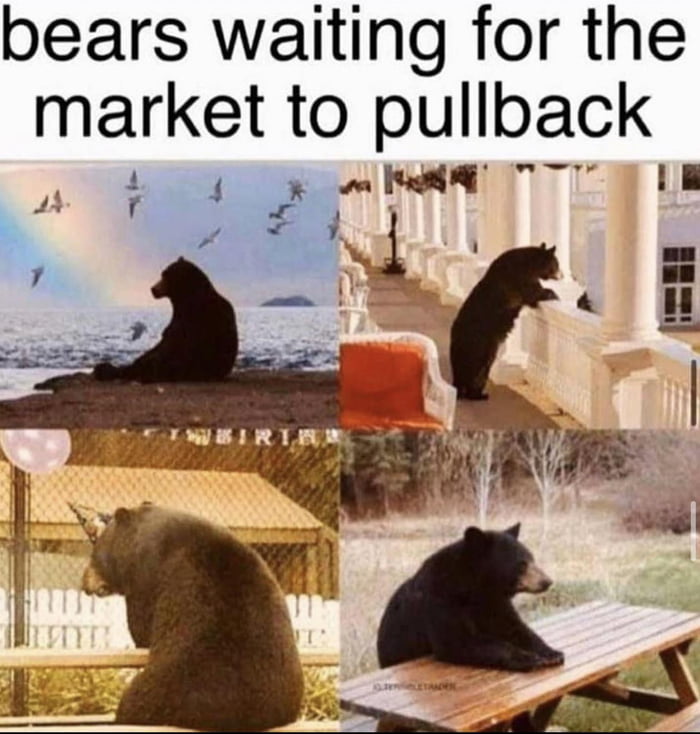 Sad day for bears - 9GAG