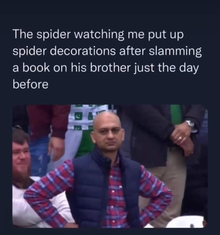 The spider watching me - 9GAG