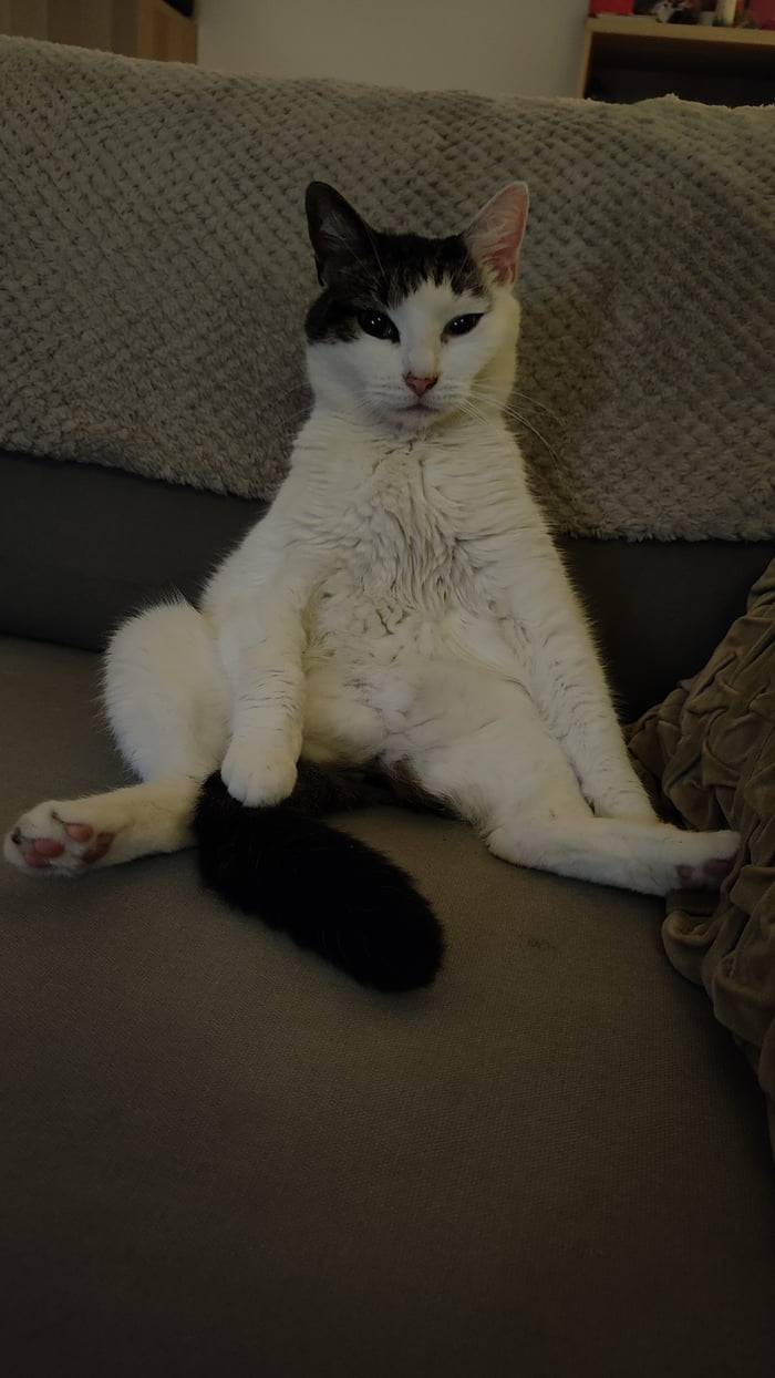 Look at me sitting - 9GAG