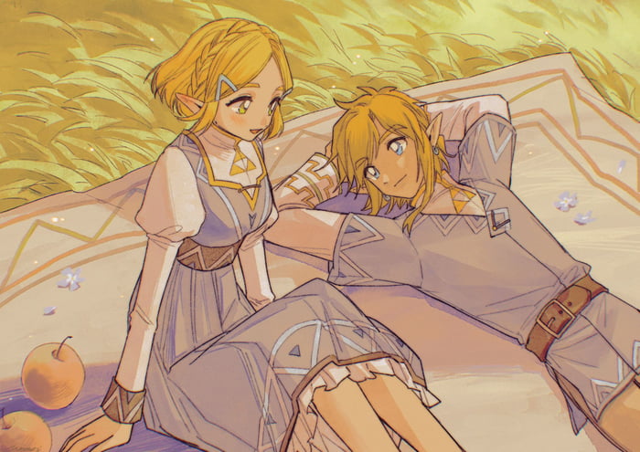 Zelda x Link - 9GAG