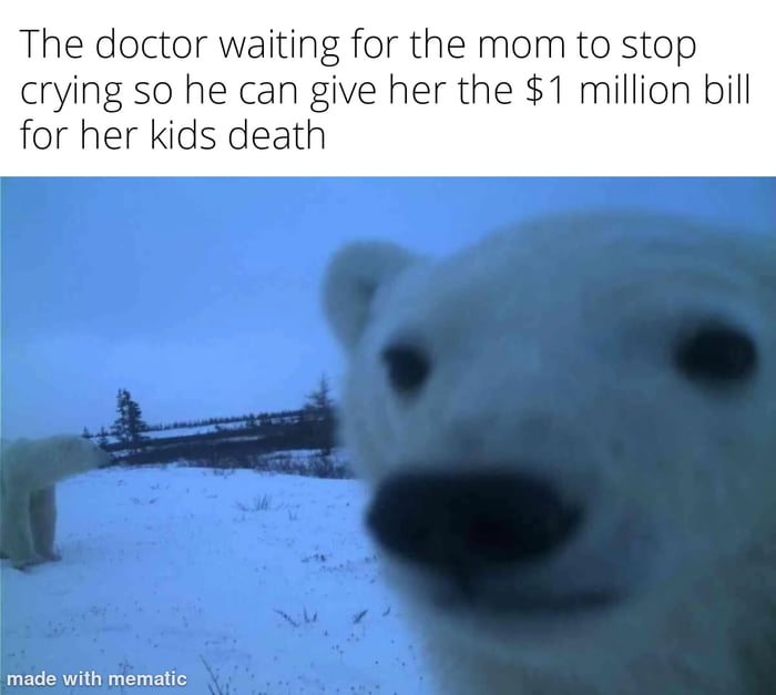 Funny bear stare - 9GAG
