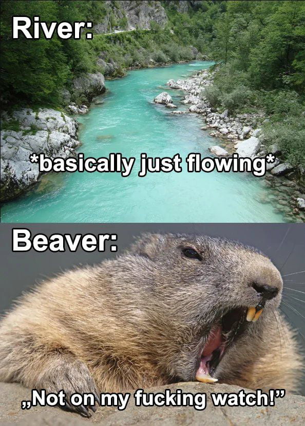 How wet is your beaver - 9GAG