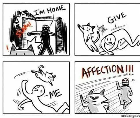 From 2021 9gag folder. Downvote if you've already seen it recently. - 9GAG