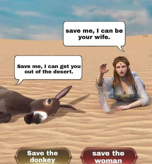 Donkey or wife ? - 9GAG
