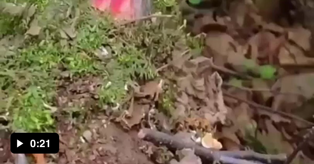 Making beads of red wood - 9GAG