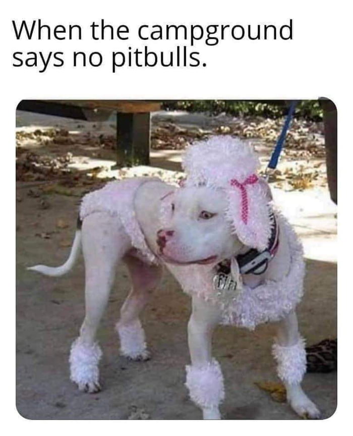 Aww... how cute... - 9GAG