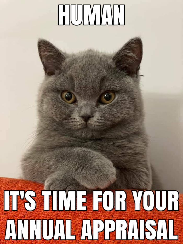 When I haven't been scratching behind her ears for 10 minutes - 9GAG