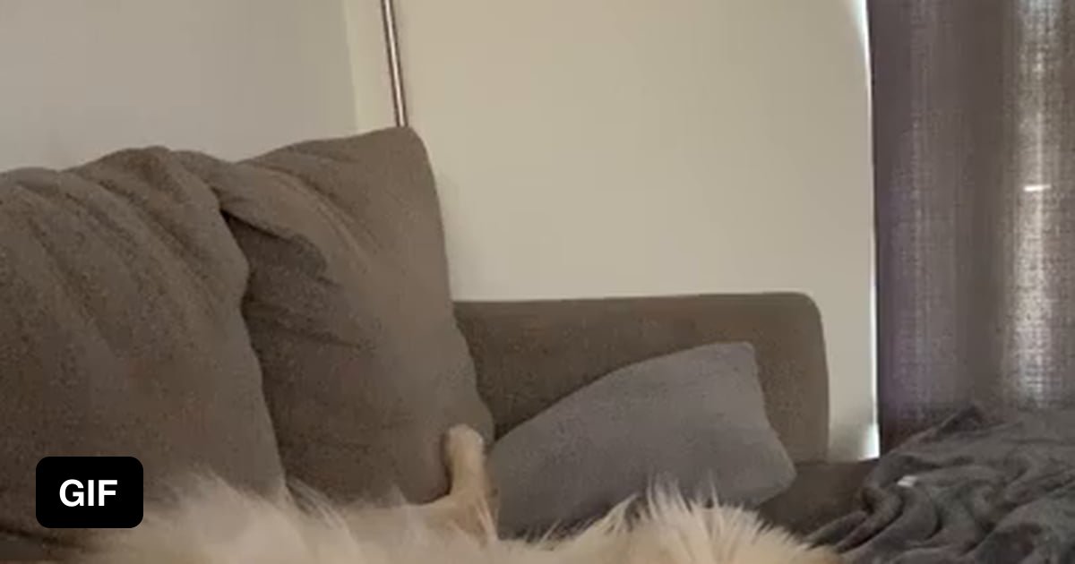 Comfiest position ever - 9GAG