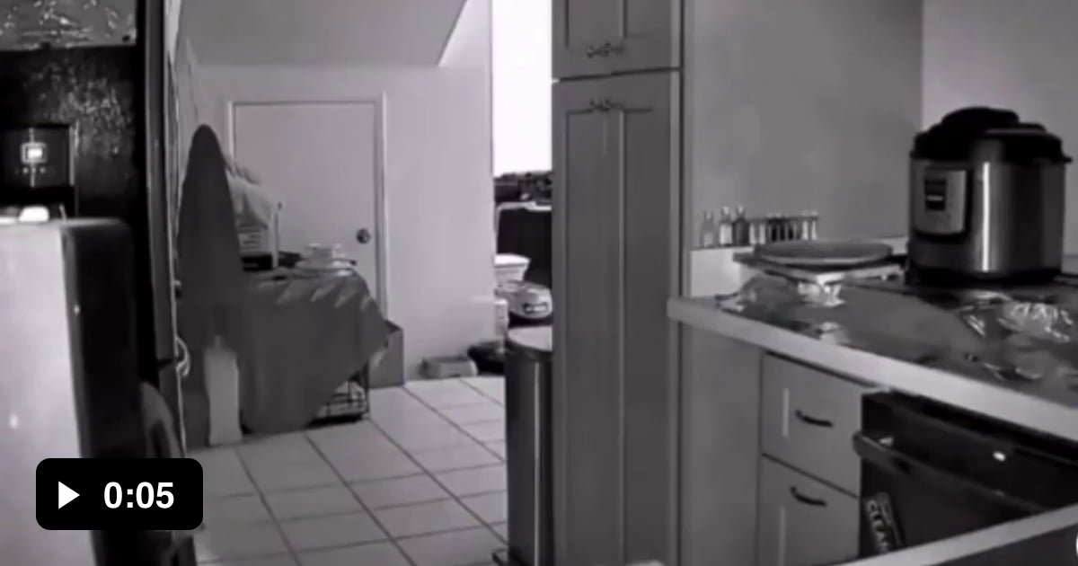 They did the cat (with foil) - 9GAG