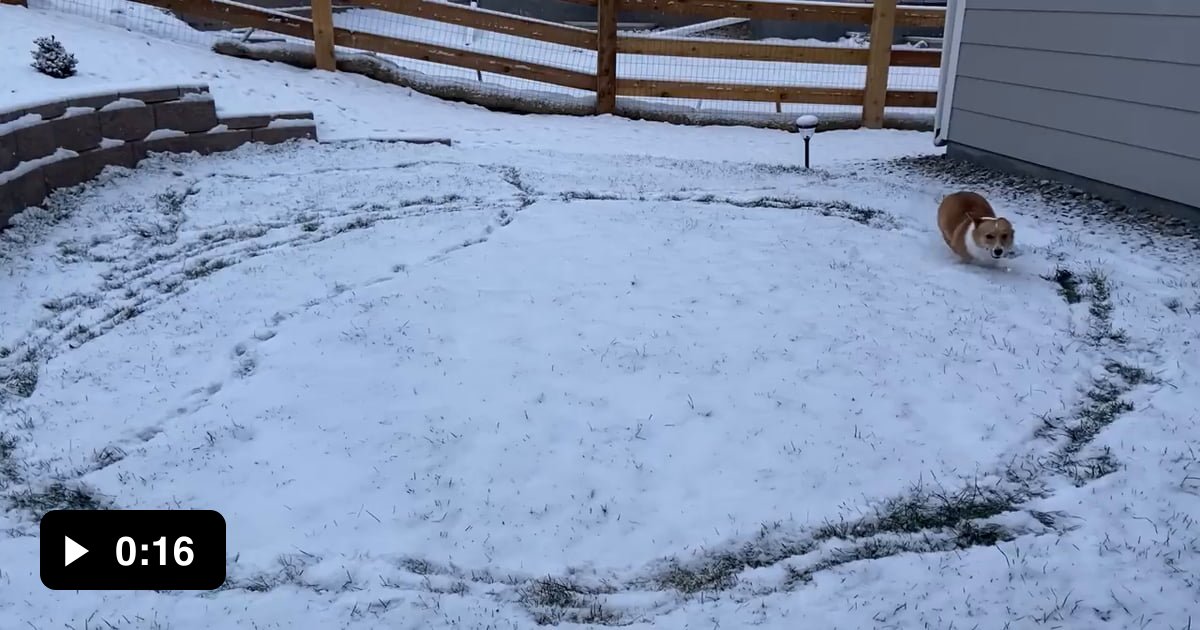 Potato celebrating the snow! - 9GAG