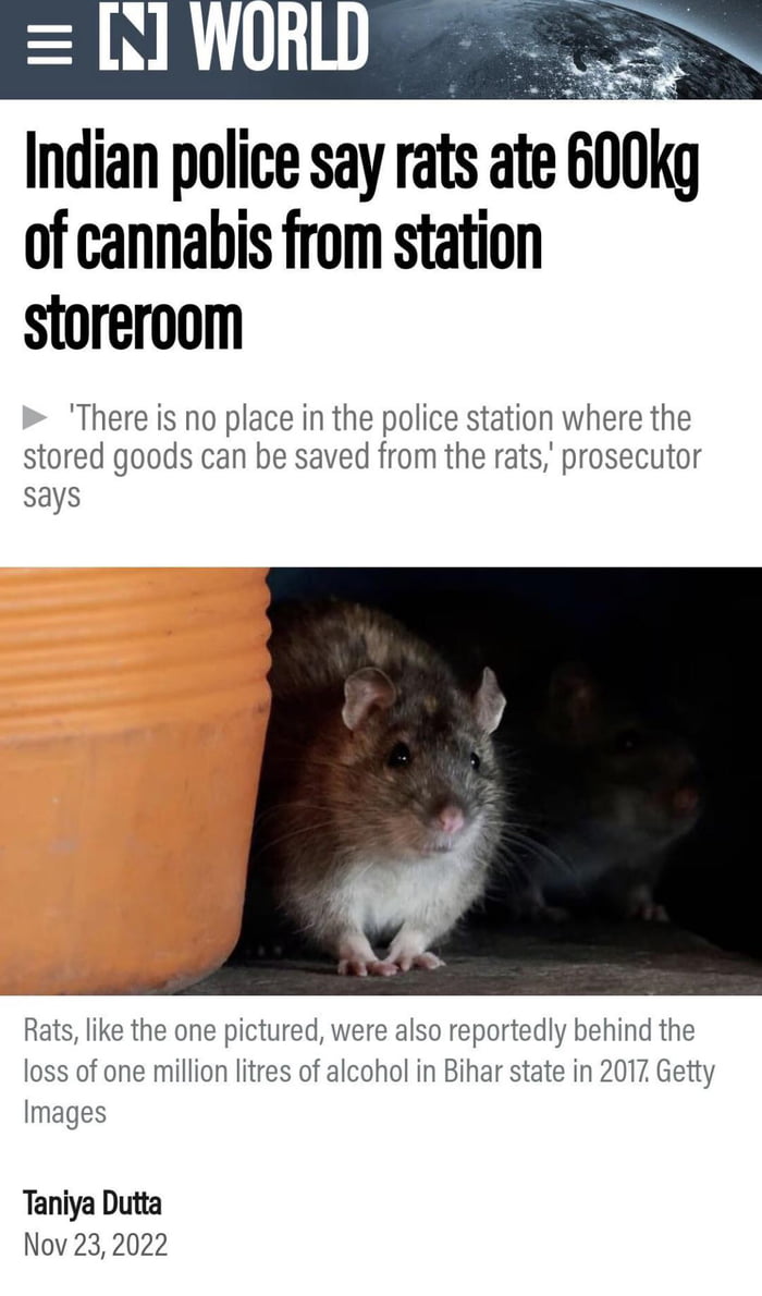 A good time for the rats - 9GAG