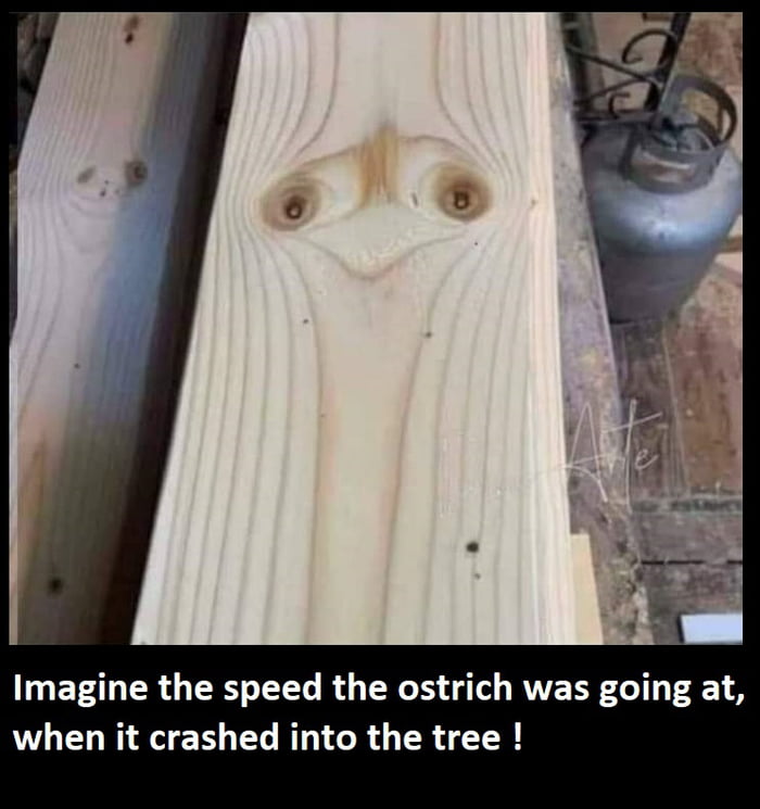 'Plank' speed ! - 9GAG