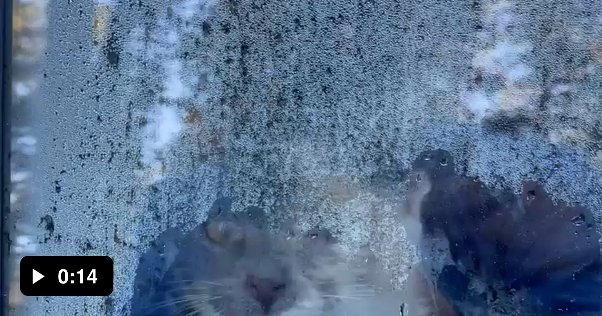 Underpaid window cleaner - 9GAG