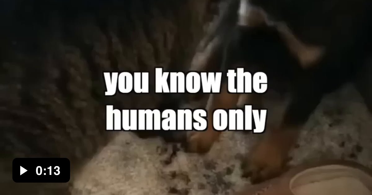Keep your paws off - 9GAG
