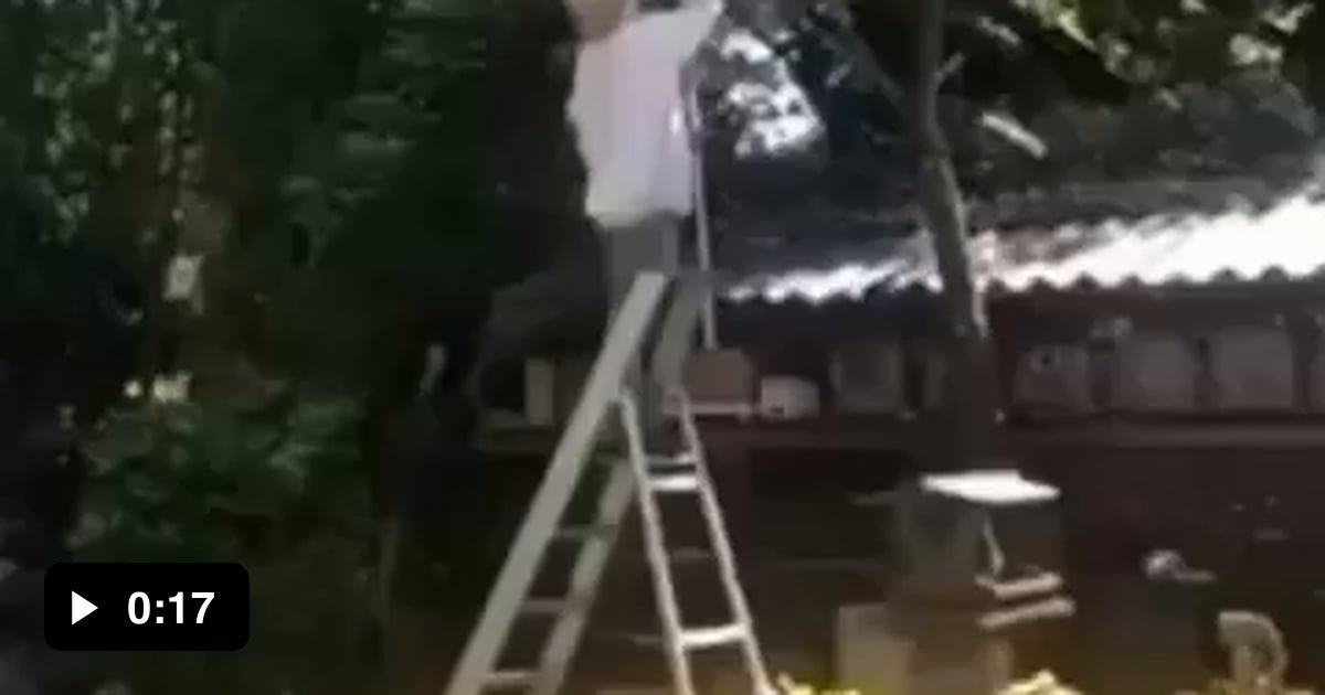 Don't worry I'm a professional - 9GAG