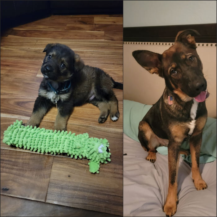 6 months sure does make a difference! - 9GAG