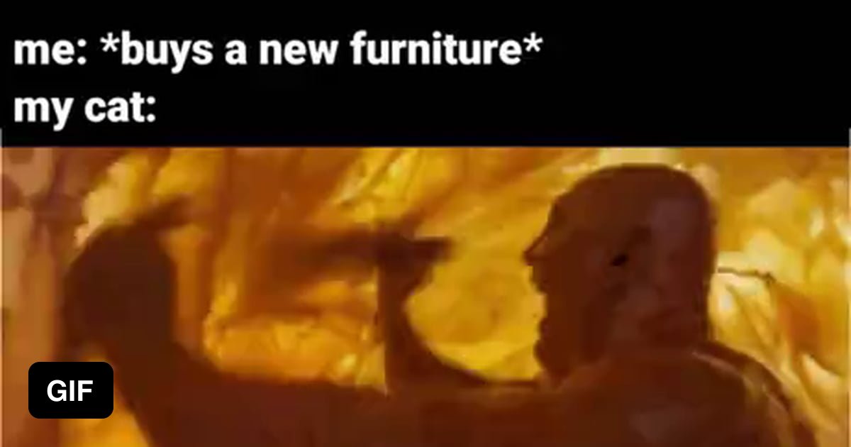 Every...gd....time! - 9GAG