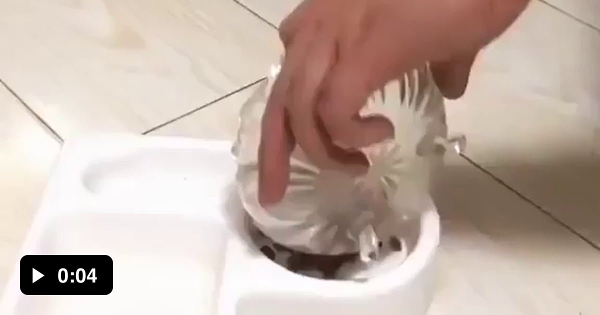 Hungry tippy taps - 9GAG