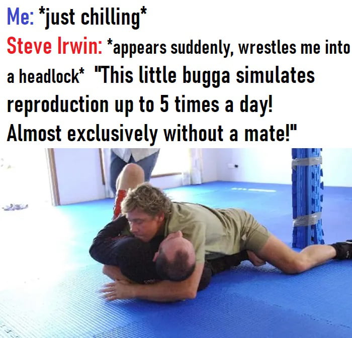 "Now I'll just be sticking my thumb up its bum hole!" - 9GAG