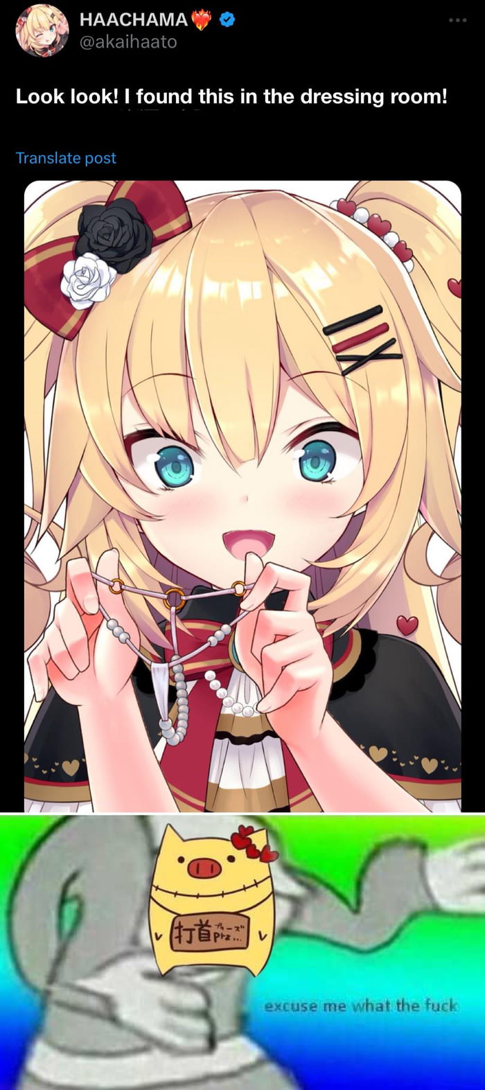 What have you brought to this cursed land - 9GAG