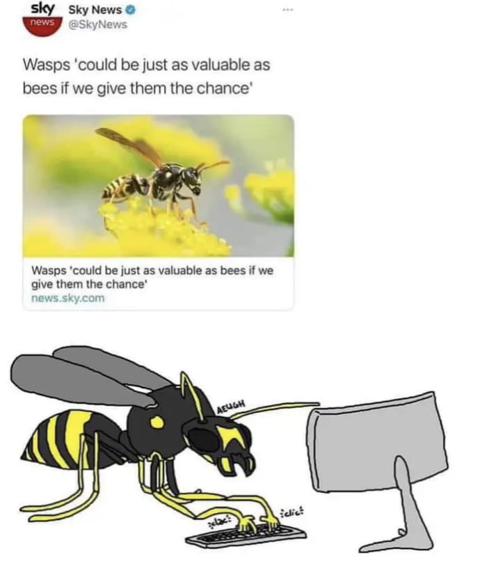 Nice try wasp *splortch* - 9GAG