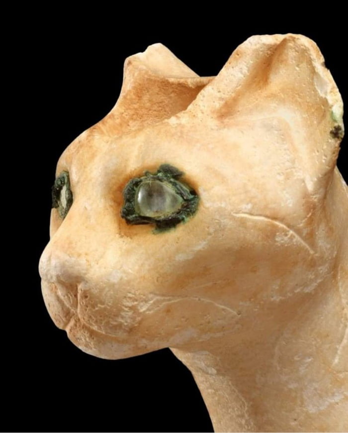 The head of an ancient Egyptian alabaster cat-shaped cosmetic vessel with eyes made of rock ...