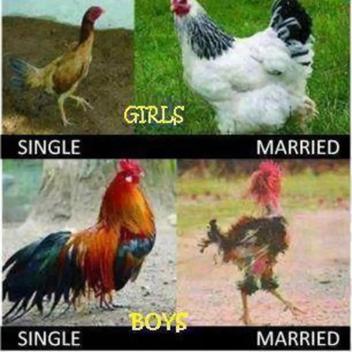 Think. Scroll. - 9GAG