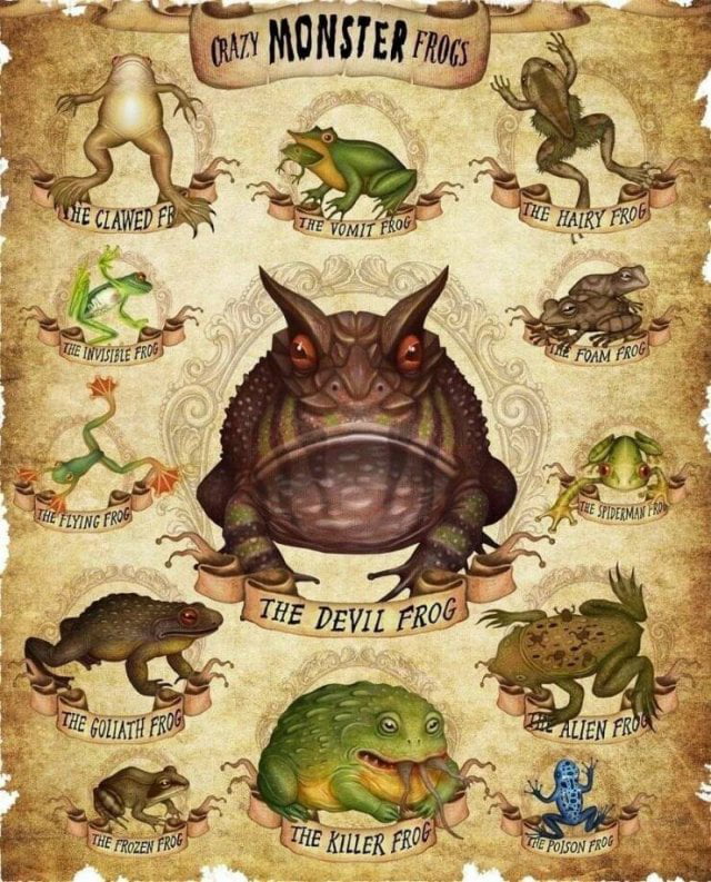 Monster frogs - 9GAG