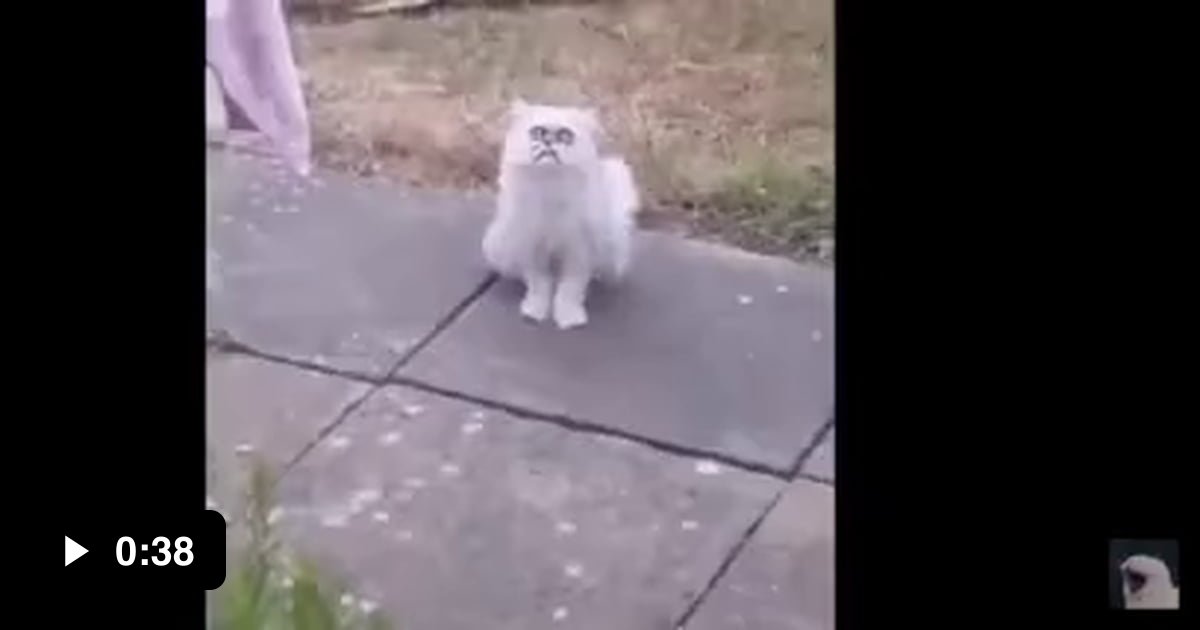 Maaaaaa... A classic - 9GAG