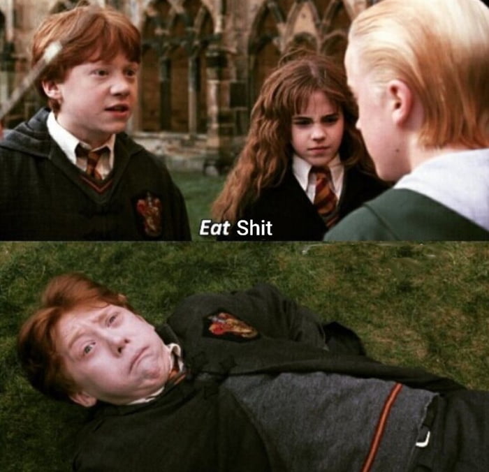 Good thing Ron wasn't this much of an asshole - 9GAG