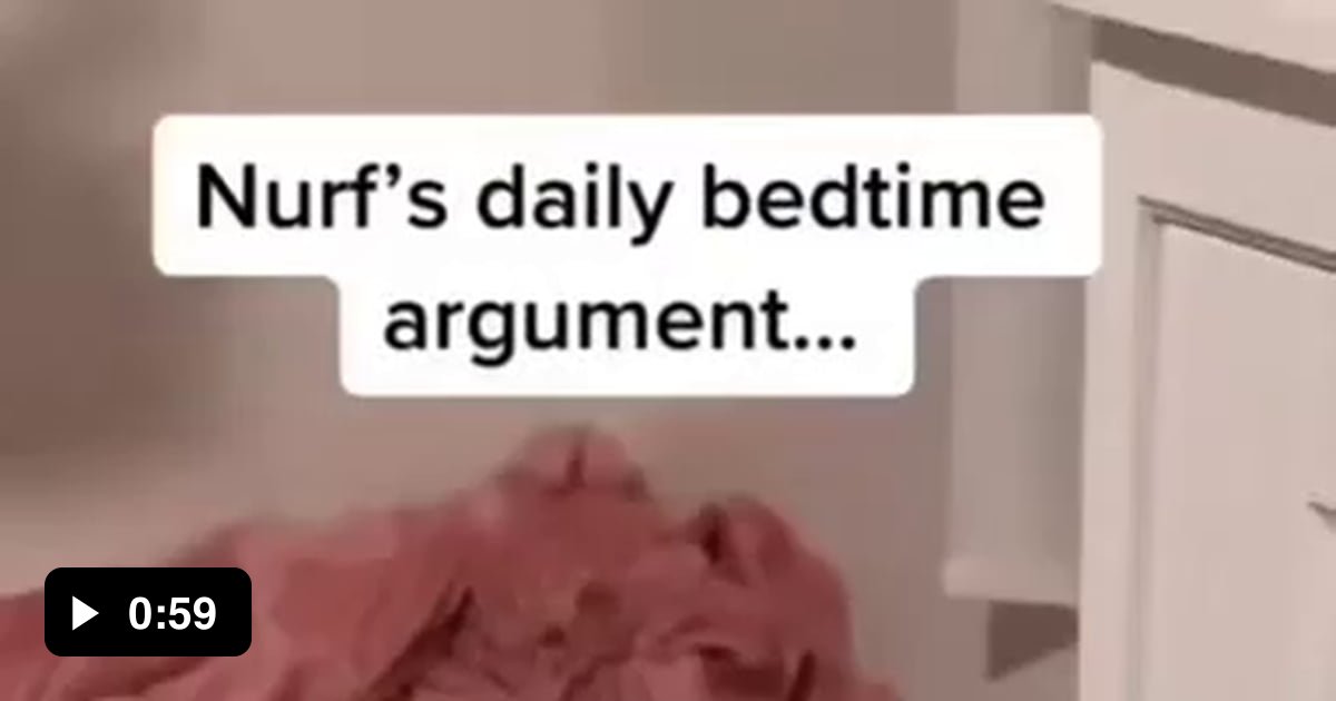 Dog argument 🐕🦺🦮ra - 9GAG