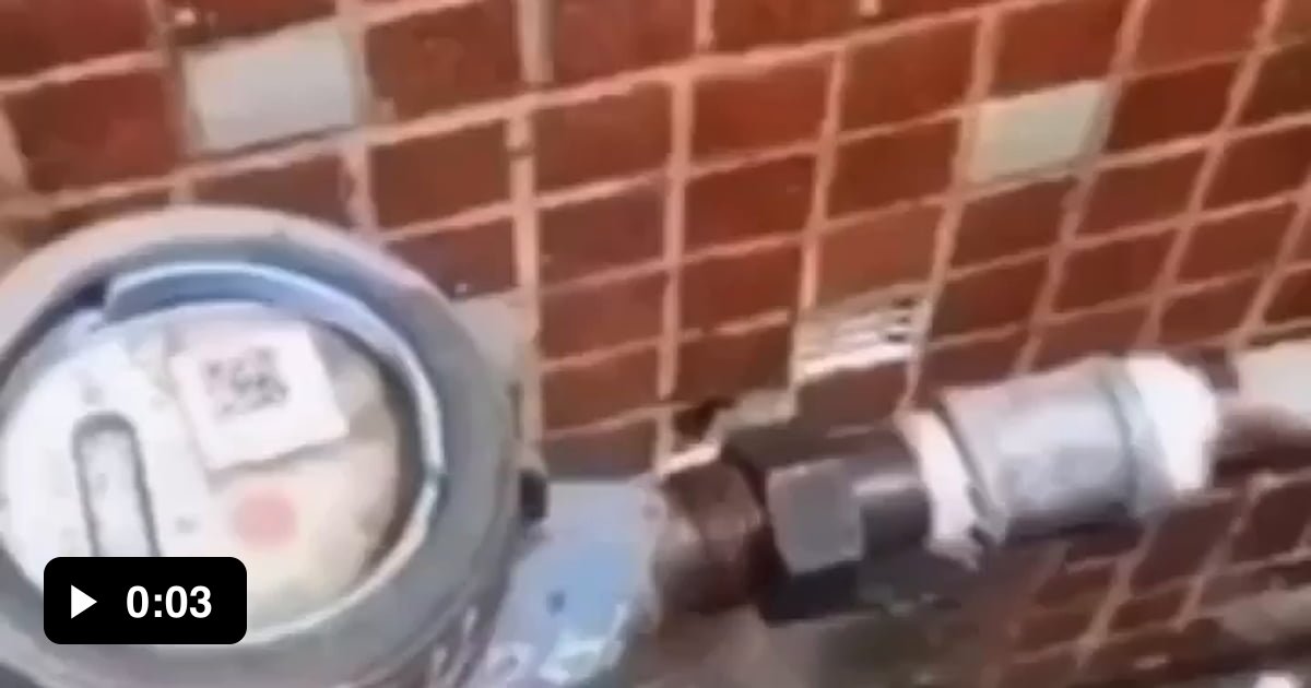 Should I call a plumber or an electrician? - 9GAG