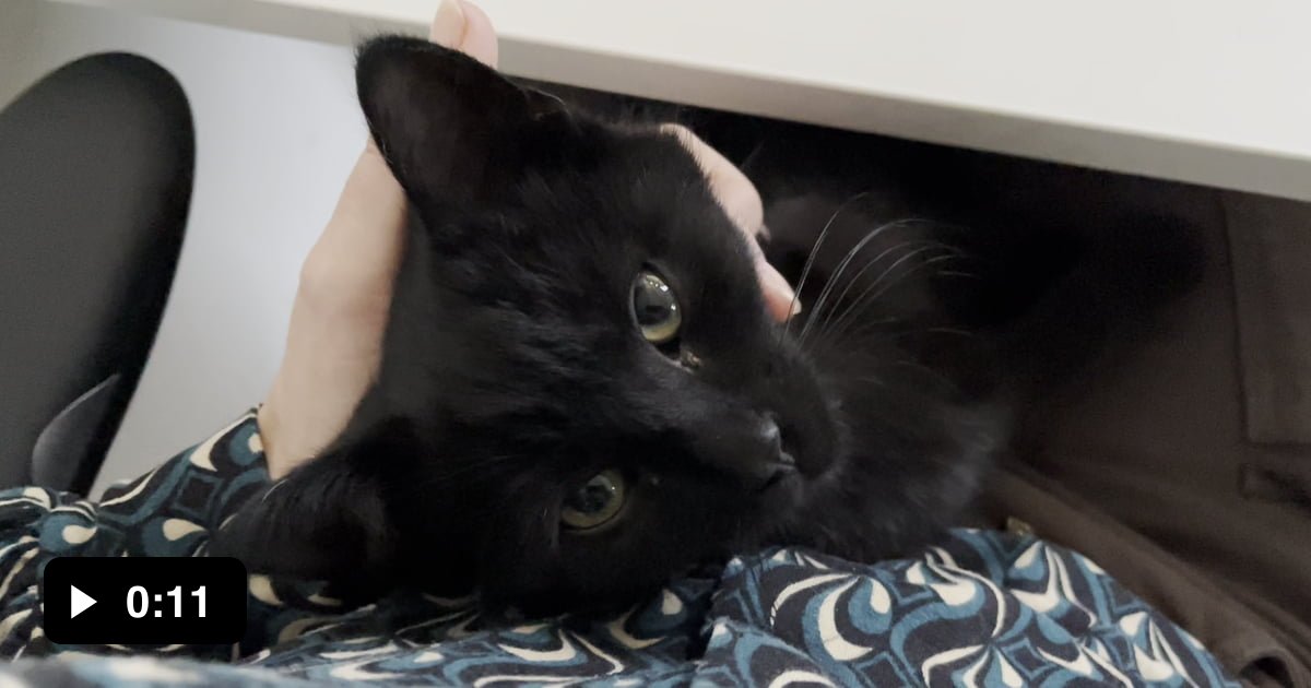 Petting purring void Nolan. - 9GAG