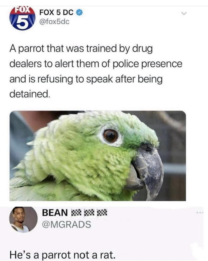 Give that boy a cracker - 9GAG