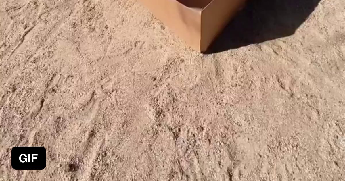 Inspecting the boxes - 9GAG