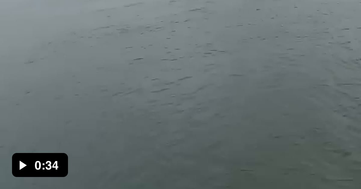 Can Fish Fart? Serious question though. - 9GAG