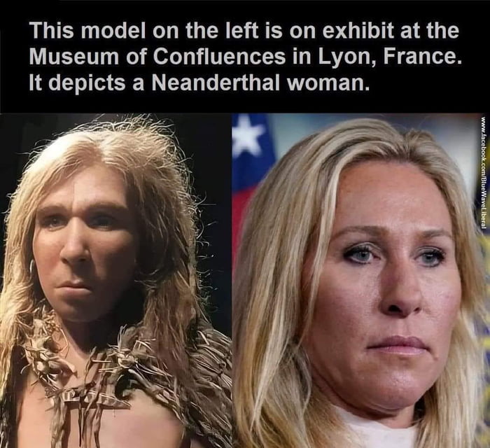 Marjorie Trailer Greene everyone. - 9GAG