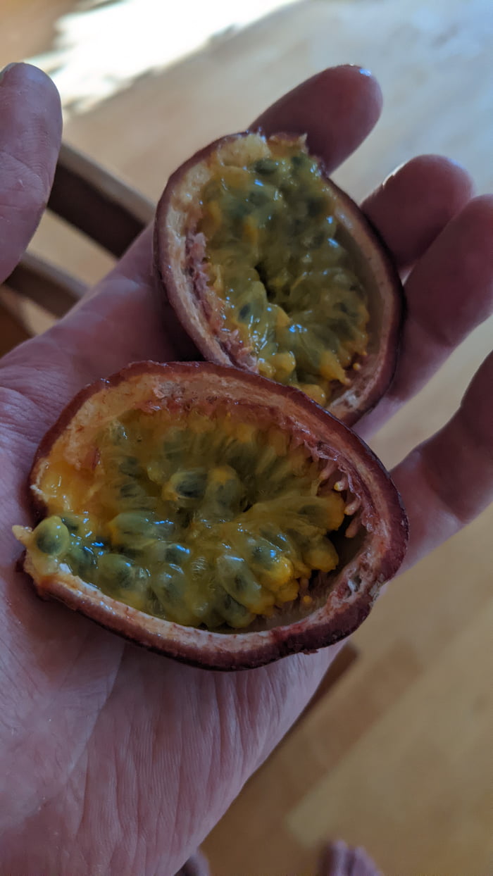 Delicious alien eggs - 9GAG