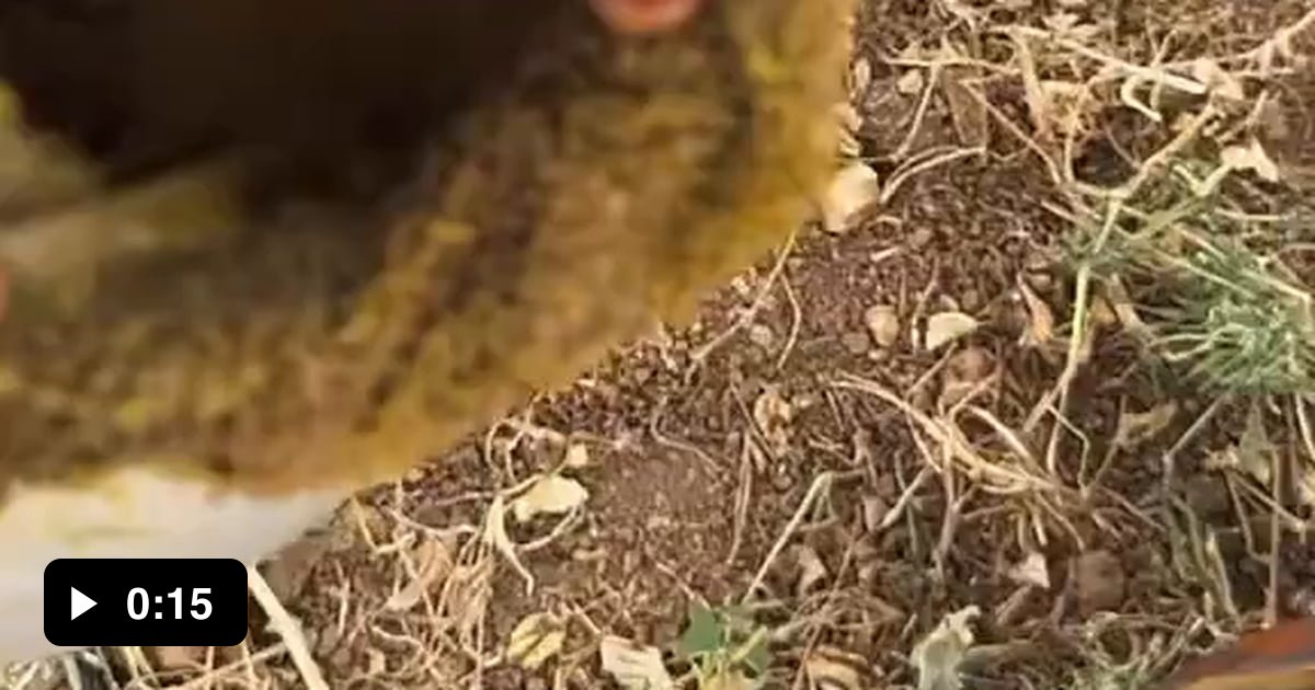 Ngelem ngetai ️ ️ ️ - 9GAG