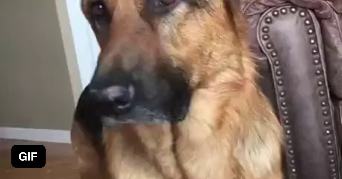 You wot mate? - 9GAG