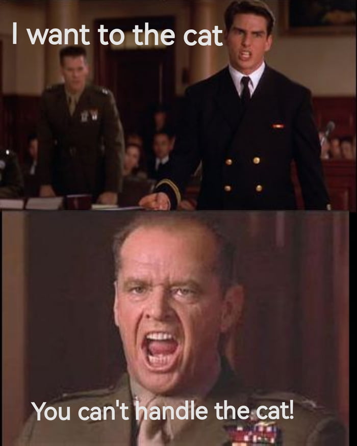 For those who want to the cat. Don't. - 9GAG