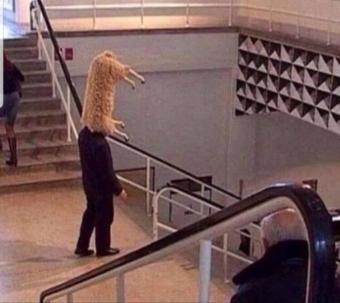 Give me your best wtf pictures - 9GAG